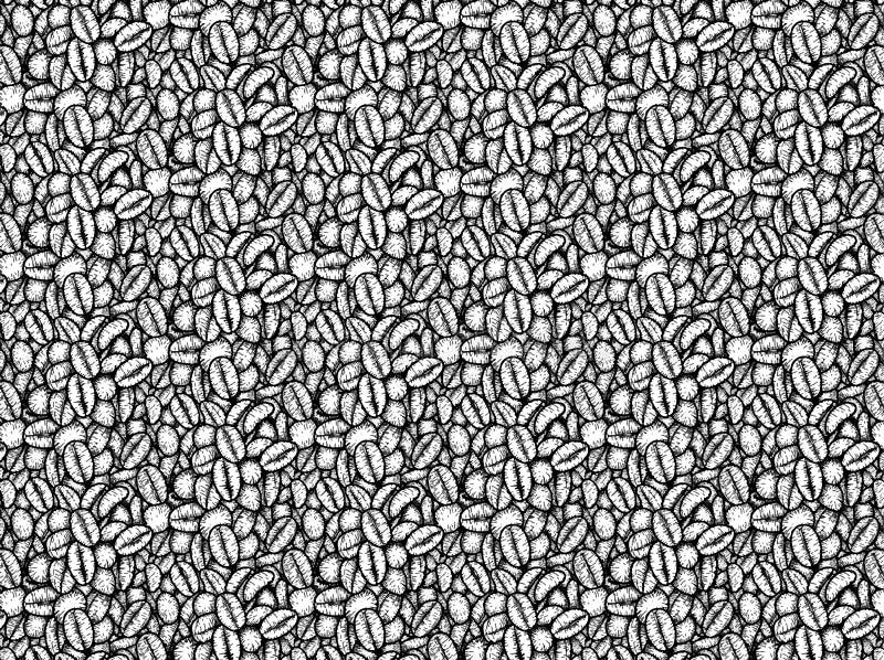 Coffee Bean Pattern by Hand Drawing Stock Illustration - Illustration ...