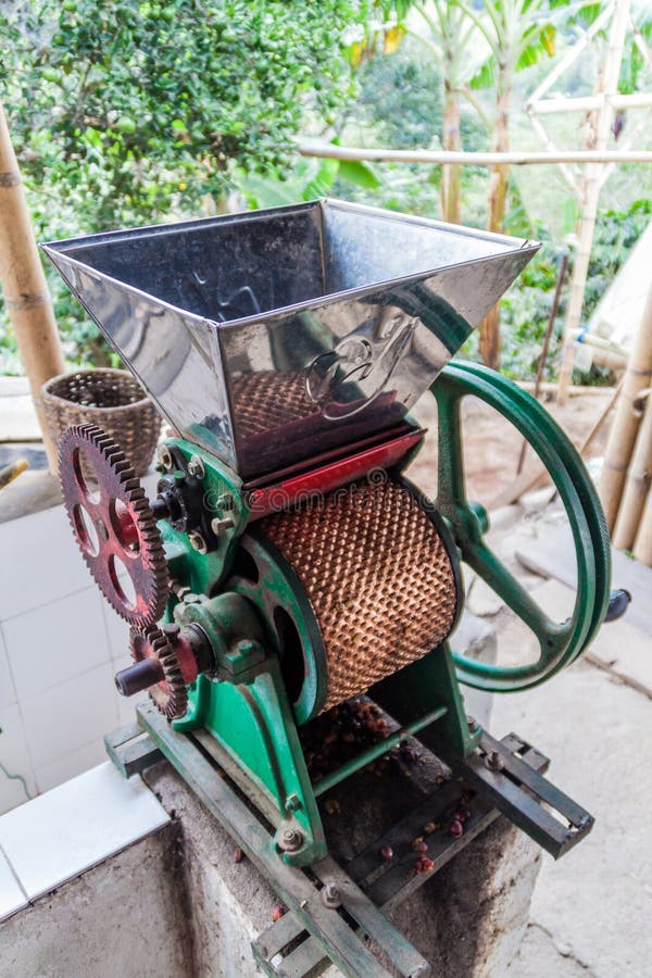 Coffee Bean Peeling Machine Stock Image - Image of farm, business ...