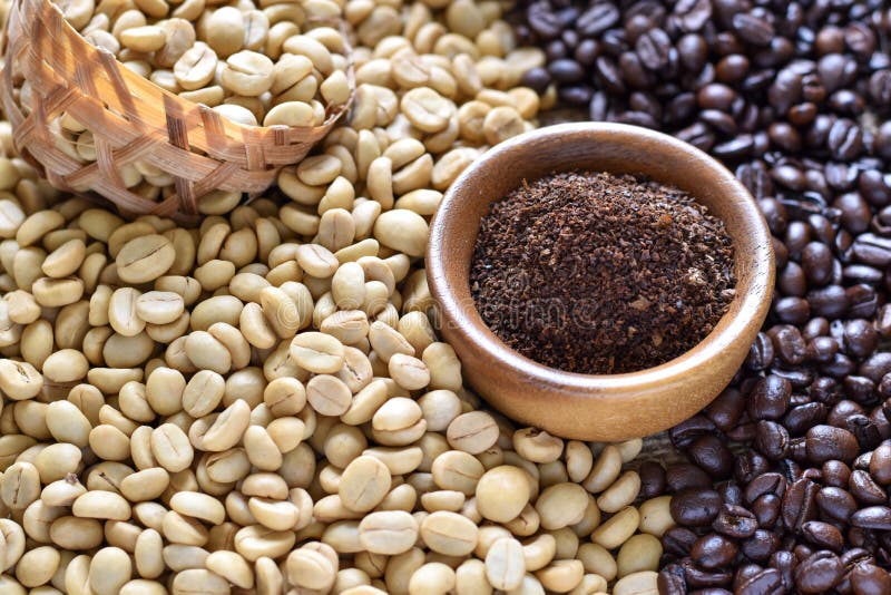 Coffee Bean Products of Farmers. Stock Photo - Image of beverage ...