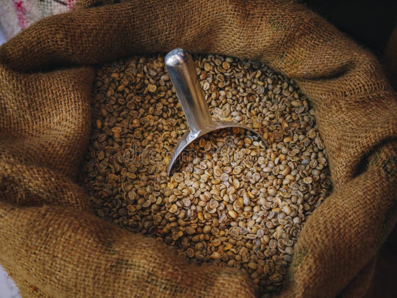 Coffee Bean in Sack Bag with Scoop Coffee Roaster Stock Image - Image ...