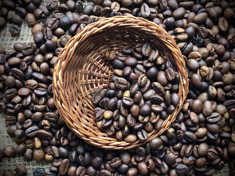 Coffee Beans Production Process Stock Image - Image of cloth, coffee ...