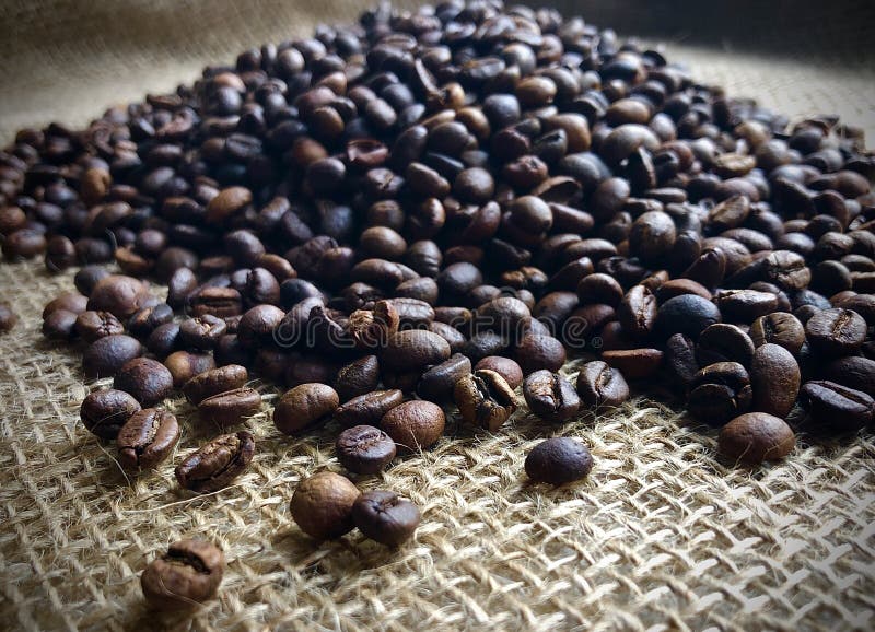 Coffee Beans Production Process Stock Image - Image of cloth, coffee ...