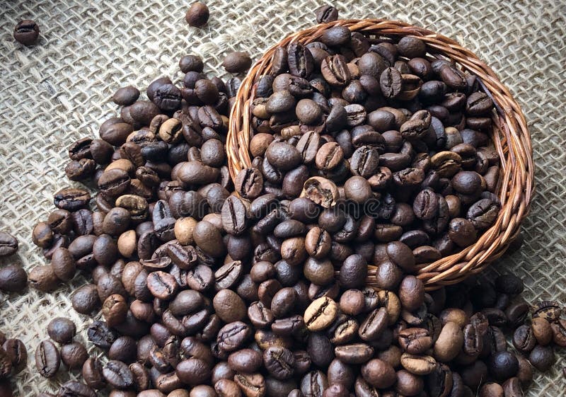 Coffee Beans Production Process Stock Photo - Image of brazil, design ...