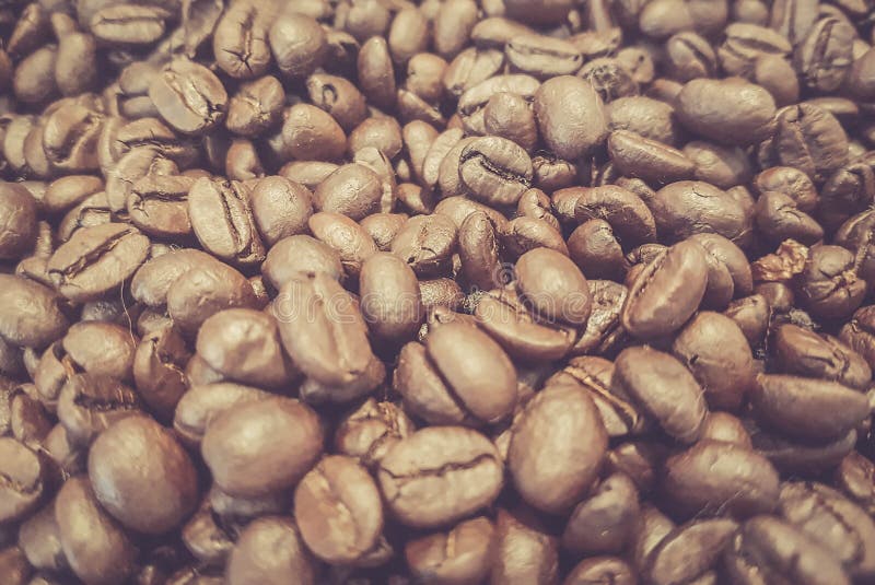 Coffee bean texture stock image. Image of cafe, brown - 74042375