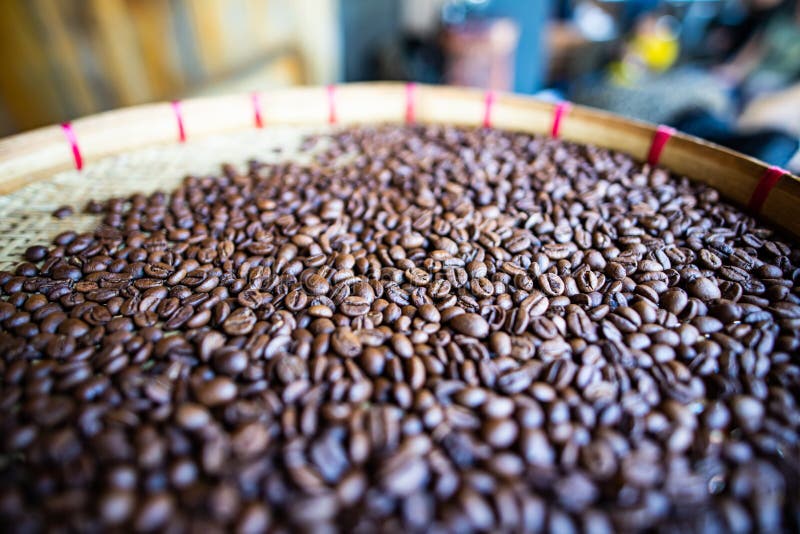 Coffee Bean in Threshing Basket Stock Photo - Image of bean, brown ...