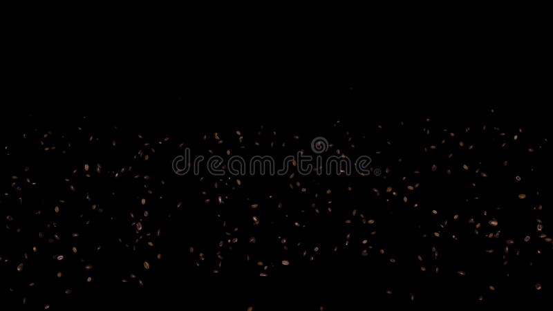 Coffee Bean Transition Animation Wipe from Bottom To Top Stock Video ...