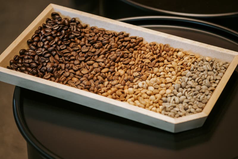 Coffee Bean Colors Display from Raw Beans To Dark Roast Stock Photo ...