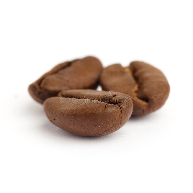 Coffee Powder Burst from Coffee Bean Stock Image - Image of dark ...