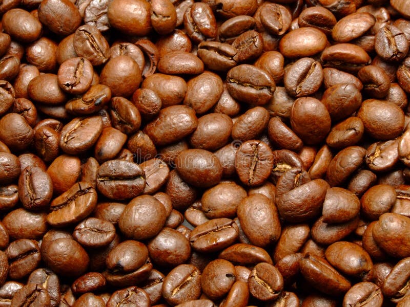 Coffee beans stock image. Image of coffee, food, grain - 187061