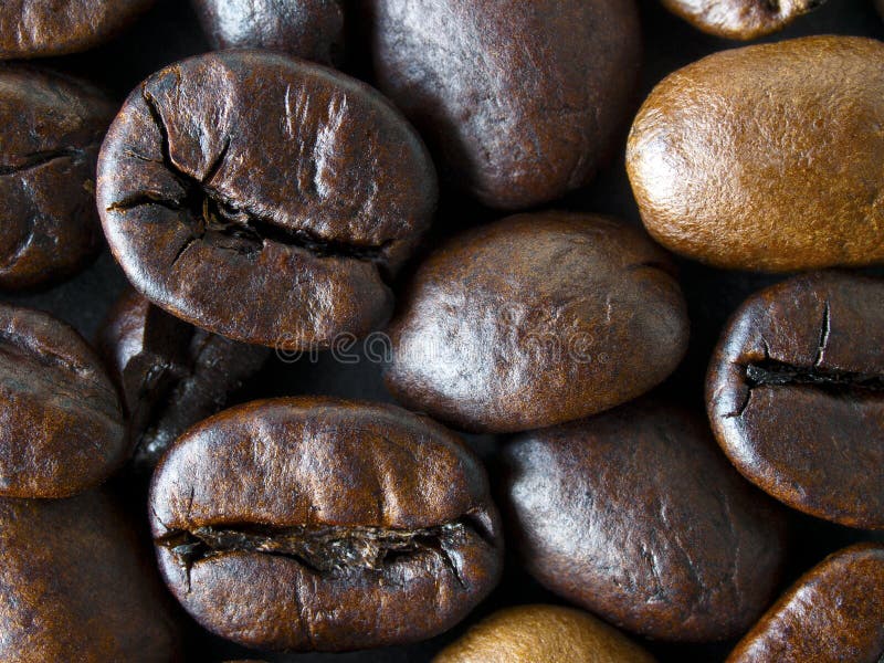 Coffee beans stock photo. Image of starbucks, blend, donuts - 18758662