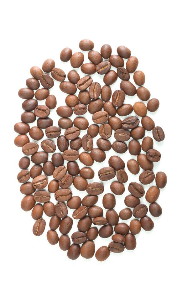 Fresh salmon fillet stock image. Image of natural, counter - 23268159