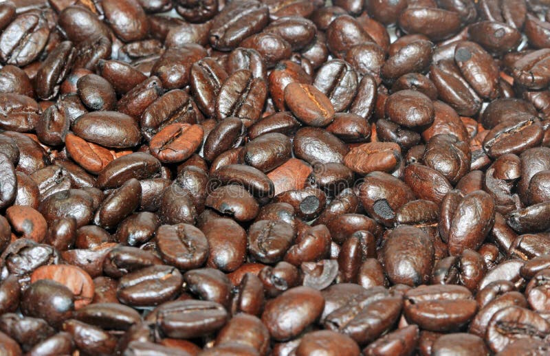 Cup Coffee Bed Beans Wallpaper Stock Photos - Free & Royalty-Free Stock ...