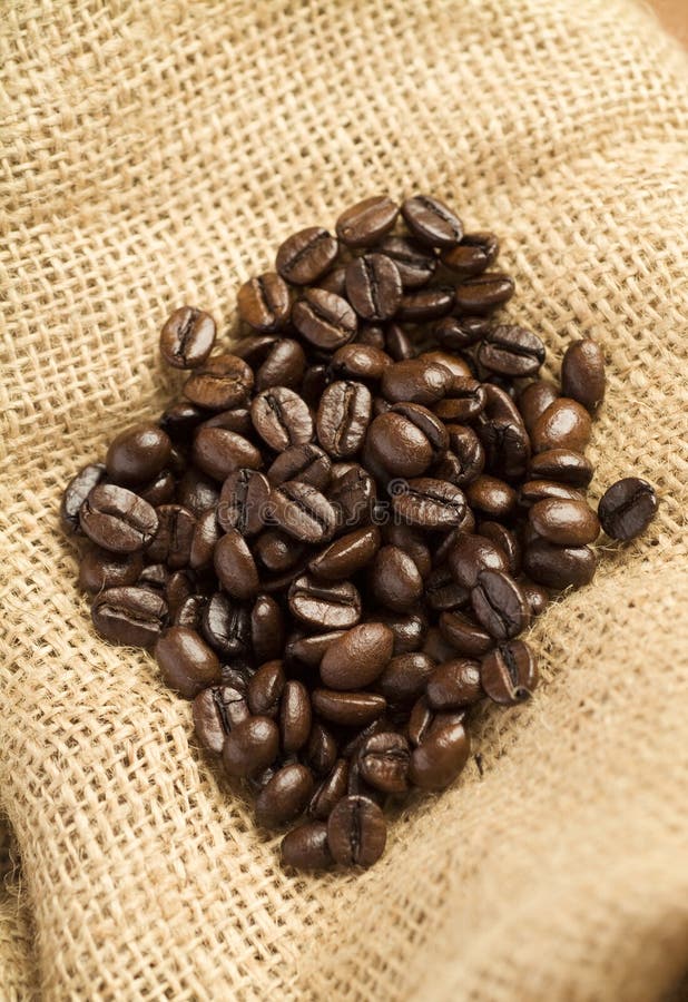 Coffee Beans Picture. Image: 5489808