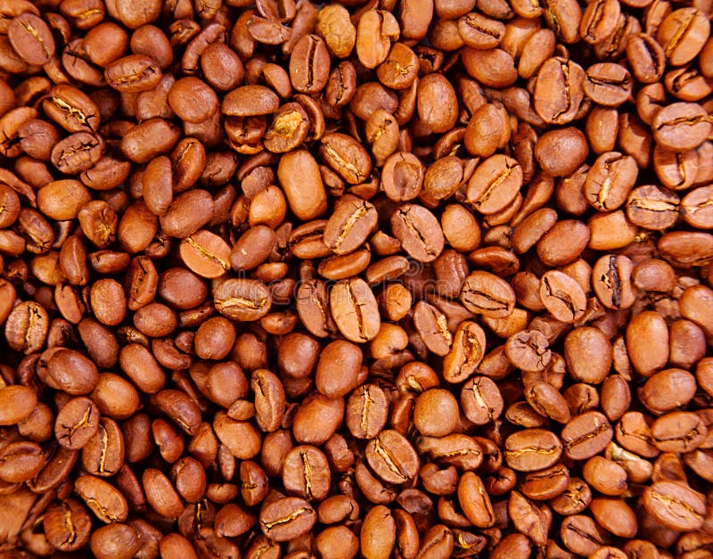 Coffee Beans Picture. Image: 5605012