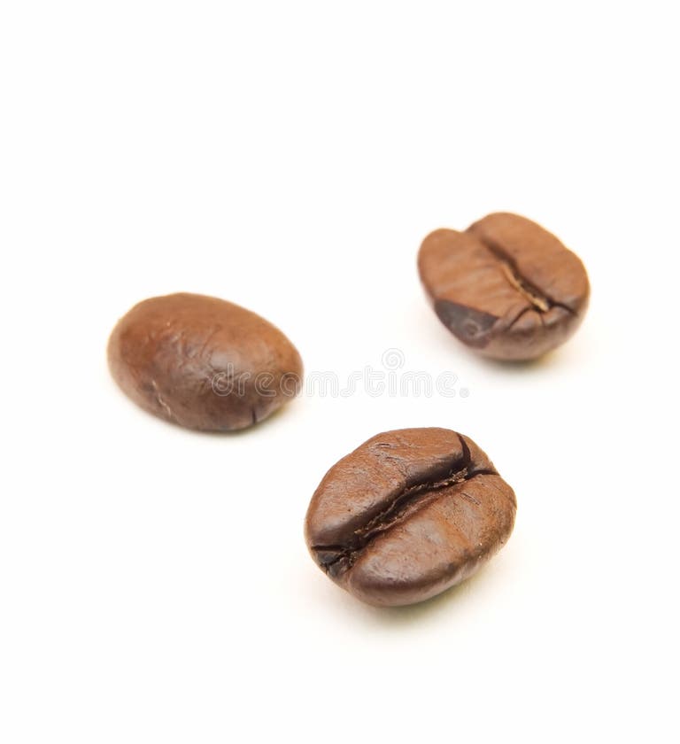 550 Starbucks Coffee Beans Distrbutor Stock Photos - Free & Royalty ...