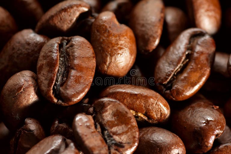 207 Dark Kenya Coffee Beans Stock Photos - Free & Royalty-Free Stock ...