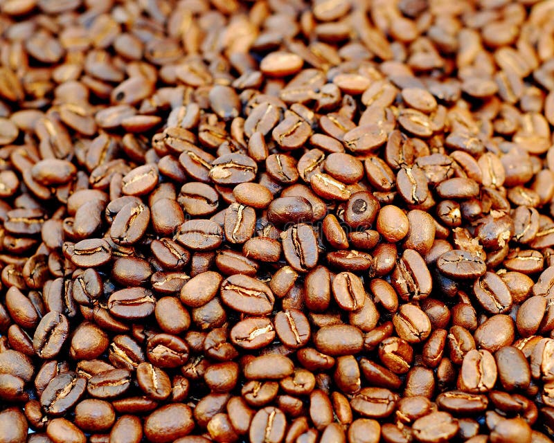 Screen Bean Stock Photos - Download 712 Royalty Free Photos