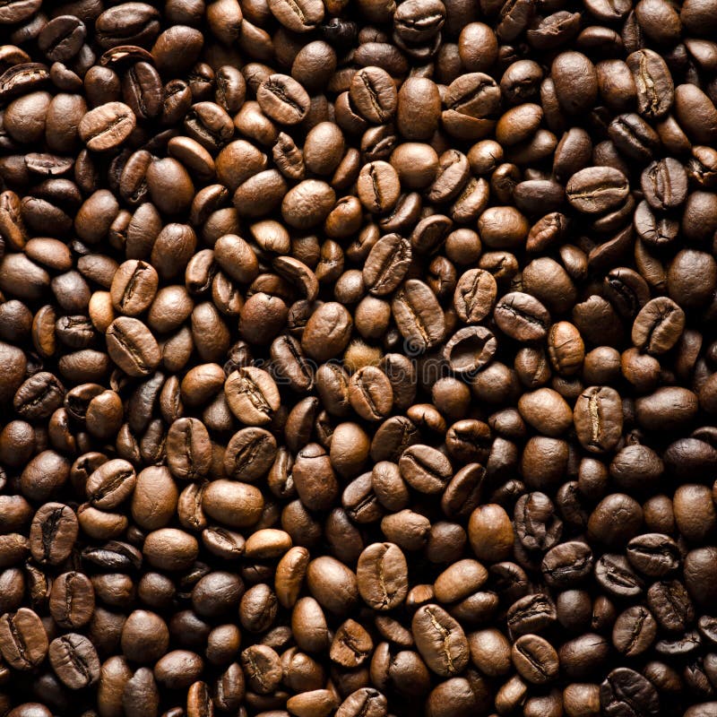 Coffee Beans with Leaves of Coffee Tree Stock Image - Image of beam ...