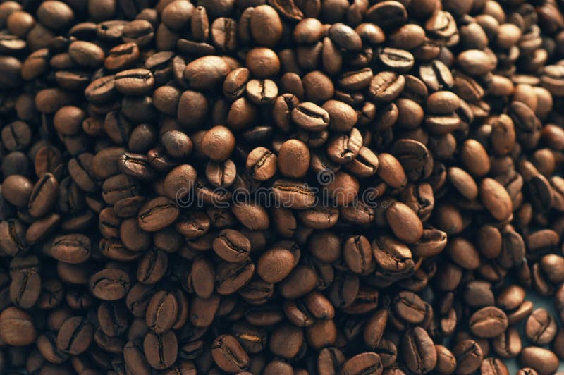 Coffee beans background stock photo. Image of chocolate - 269686972