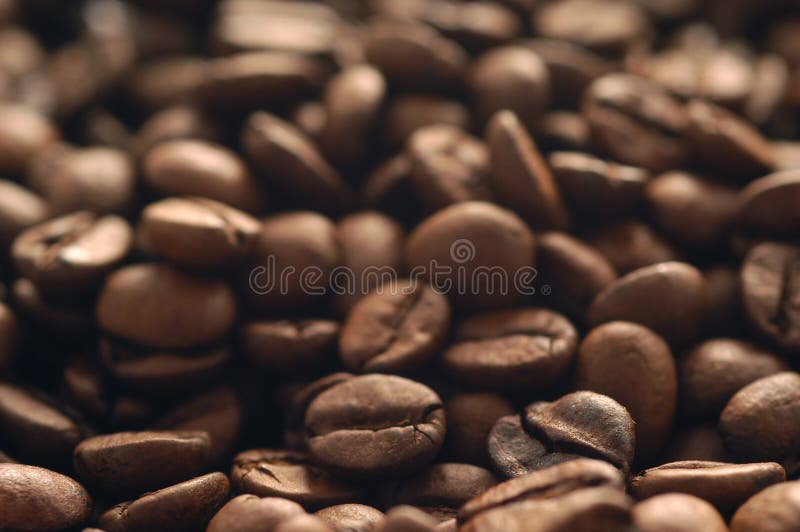 Coffee beans background stock image. Image of plant - 269686977