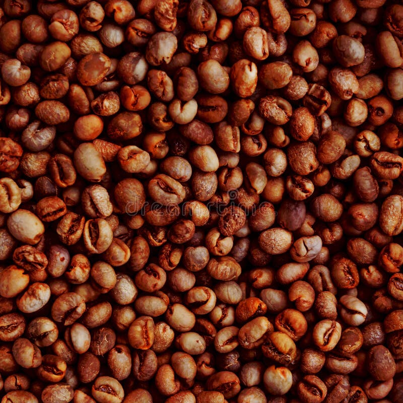 Coffee beans background stock image. Image of drink, arabica - 66915743