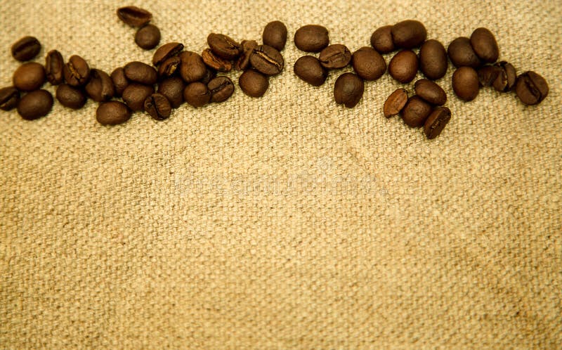 Coffee Beans on Background, Indoor Shoot Stock Photo - Image of female ...