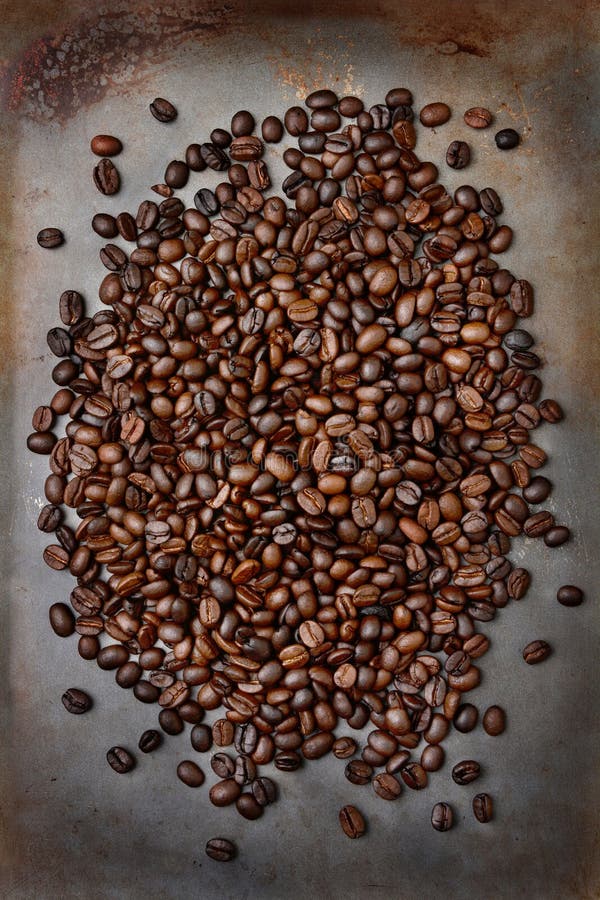 Coffee Beans on Baking Sheet Stock Photo - Image of food, seed: 50829864