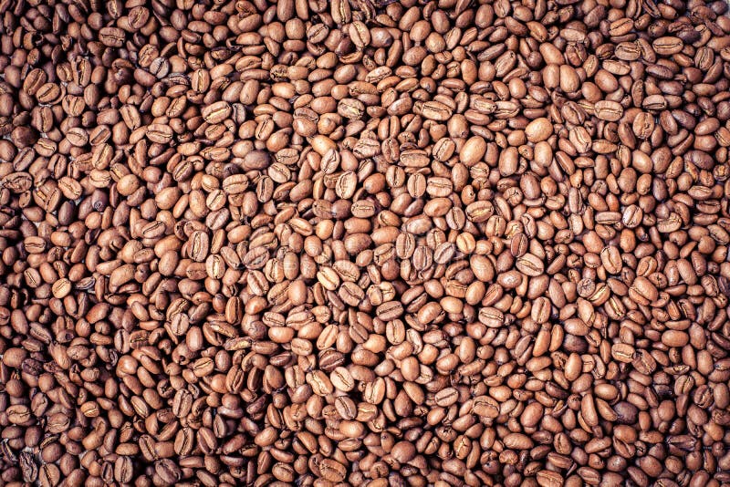 Coffee, Beans, Brown, Morning, Aroma, Roasted Stock Image - Image of ...