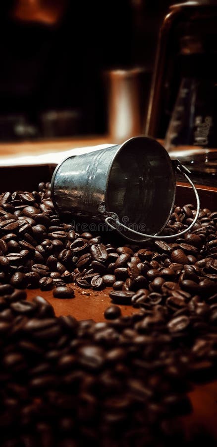 Coffee beans and bucket stock photo. Image of iron, organ - 200253180