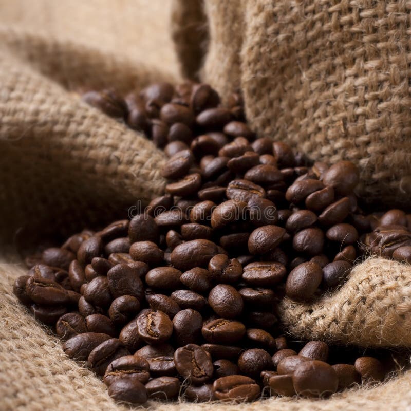 Coffee bean stock photo. Image of caffeine, gourmet, grain - 10176846