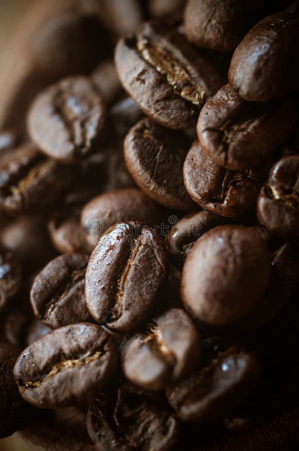 Coffee beans stock photo. Image of coffee, natural, closeup - 63773086