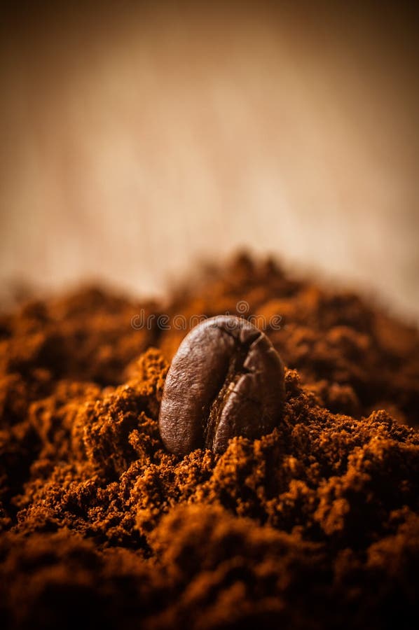 Coffee beans stock image. Image of natural, espresso - 63773109