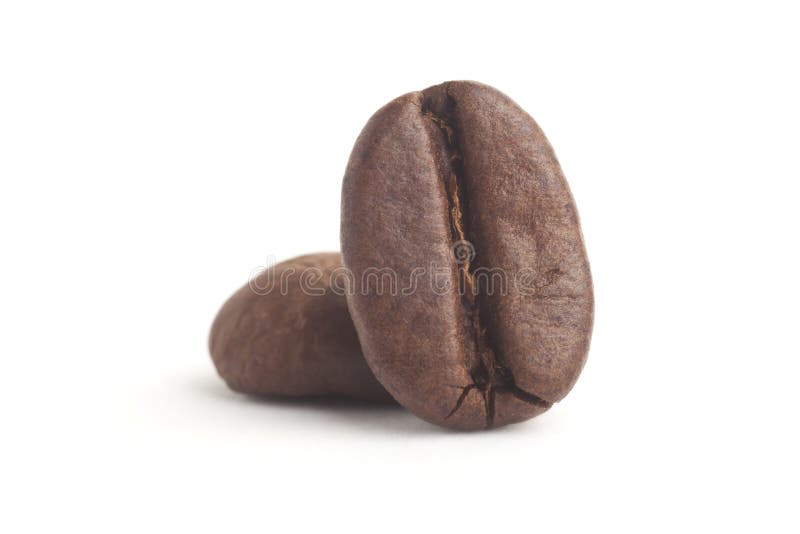 Coffee bean front and back stock photo. Image of breakfast - 34651030