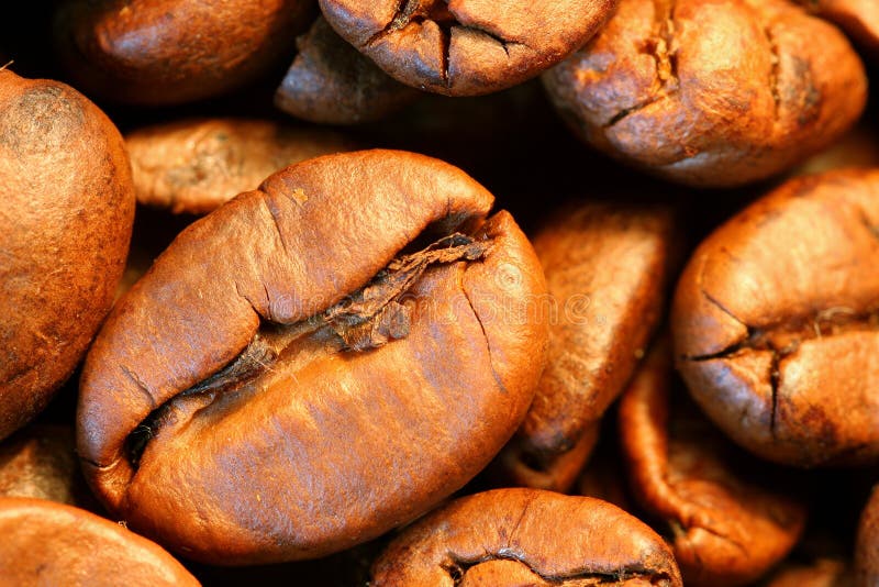 Coffee Beans Closeup Picture. Image: 6512149