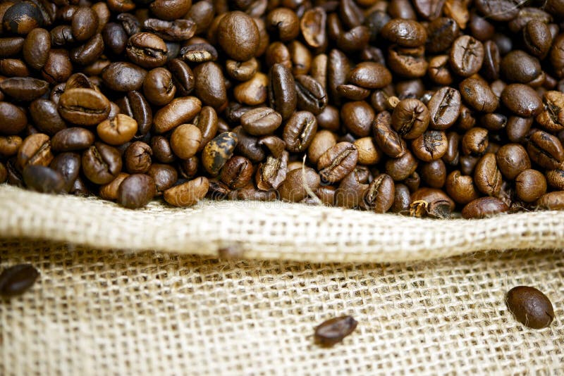 Coffee Beans Closeup stock photo. Image of bean, smell - 31978930