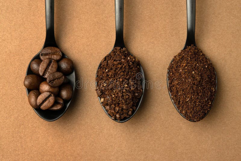 Coffee Beans, Coarse Coffee, Finely Ground Coffee in Black Spoons Close ...