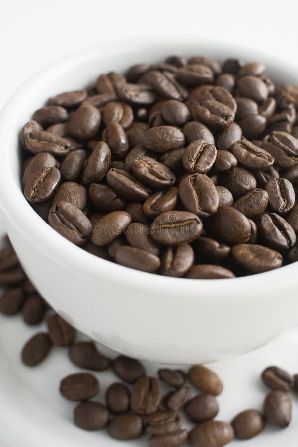 Coffee beans in a cup stock photo. Image of closeup, caffeine - 13135336