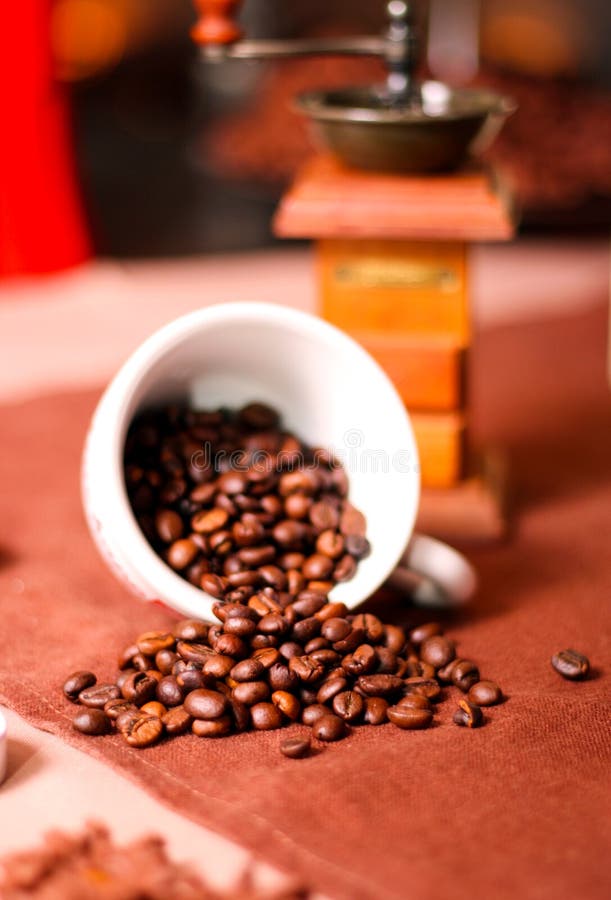 Coffee beans in a cup stock image. Image of beverage - 28123361