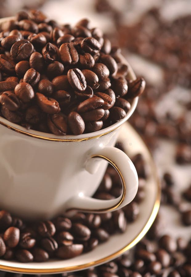 Coffee beans in the cup stock photo. Image of background - 28381998