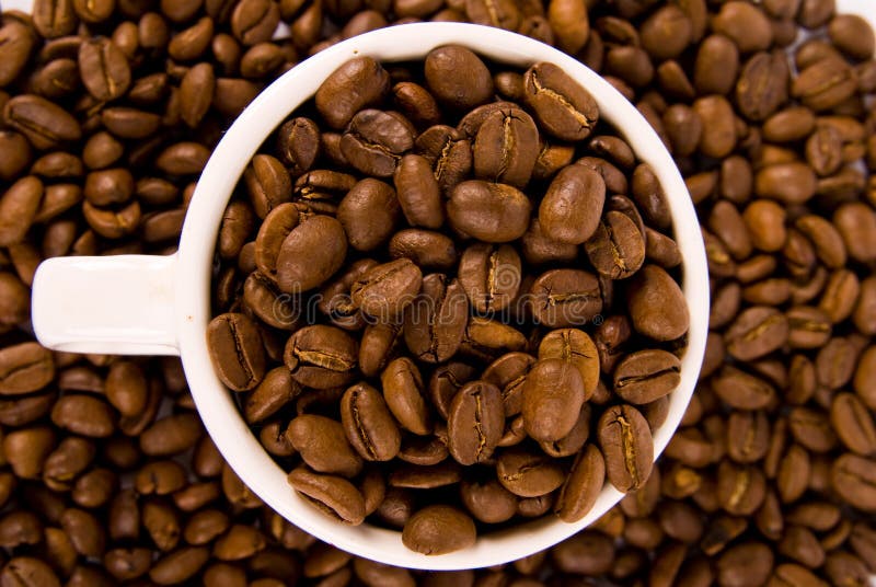 Coffee Beans in a Cup,cup of Coffee with Beans Stock Image - Image of ...