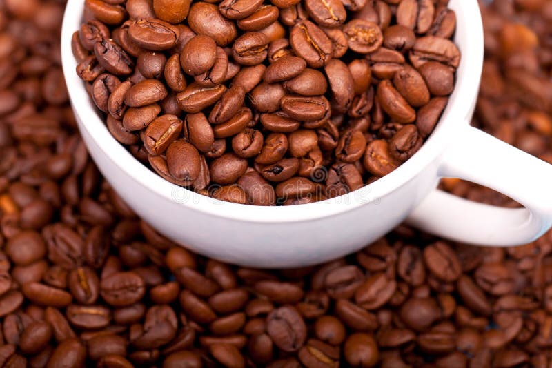 Coffee beans in a cup stock photo. Image of natural, design - 42615768