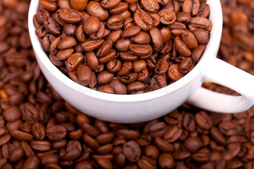 Coffee beans in a cup stock photo. Image of natural, design - 42615768