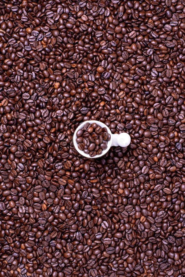 Coffee beans stock image. Image of grain, espresso, caffeine - 266527779