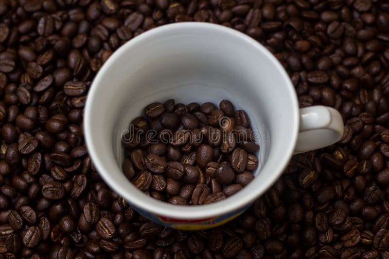 Coffee Beans in a Cup,cup of Coffee with Beans Stock Image - Image of ...