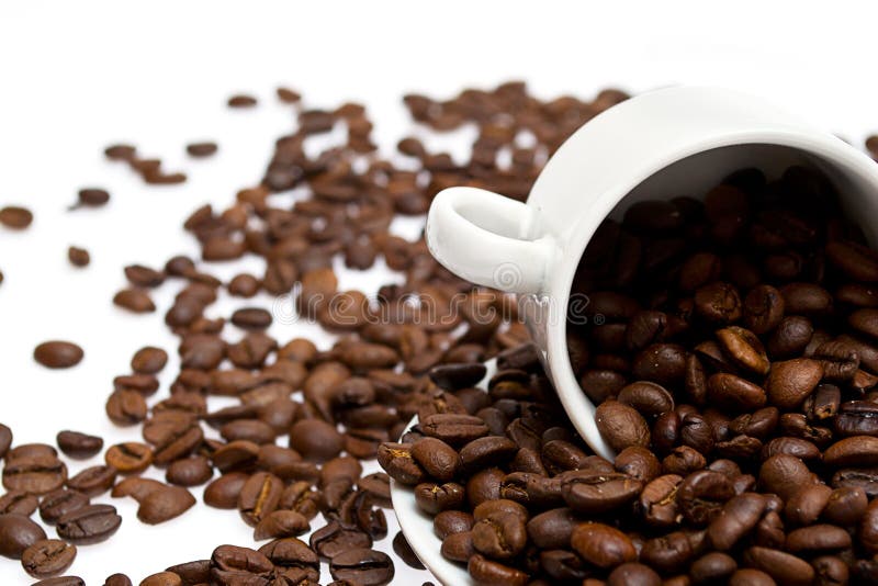 Coffee Beans in a Cup Isolated Stock Photo - Image of colour, heap ...
