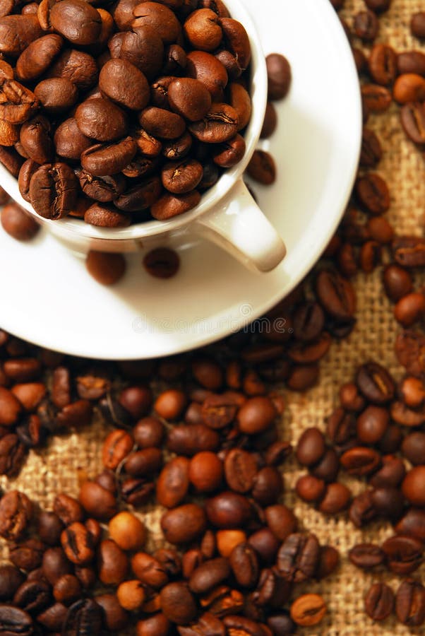 Coffee beans in a cup stock image. Image of bean, coffee - 36431993