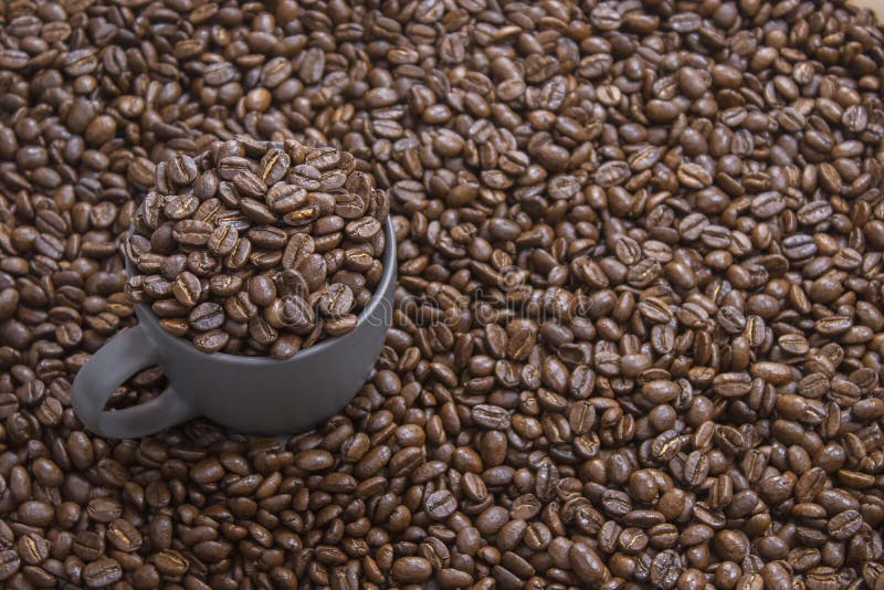 Coffee Beans in Dark Cup on Mixed Coffee Beans Background Stock Photo ...