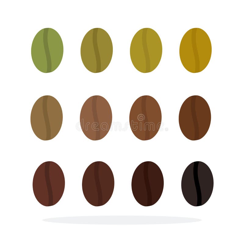 Coffee Beans of Different Colors Vector Flat Isolated Stock Vector ...