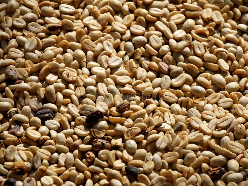 4,443 Coffee Parchment Stock Photos - Free & Royalty-Free Stock Photos ...