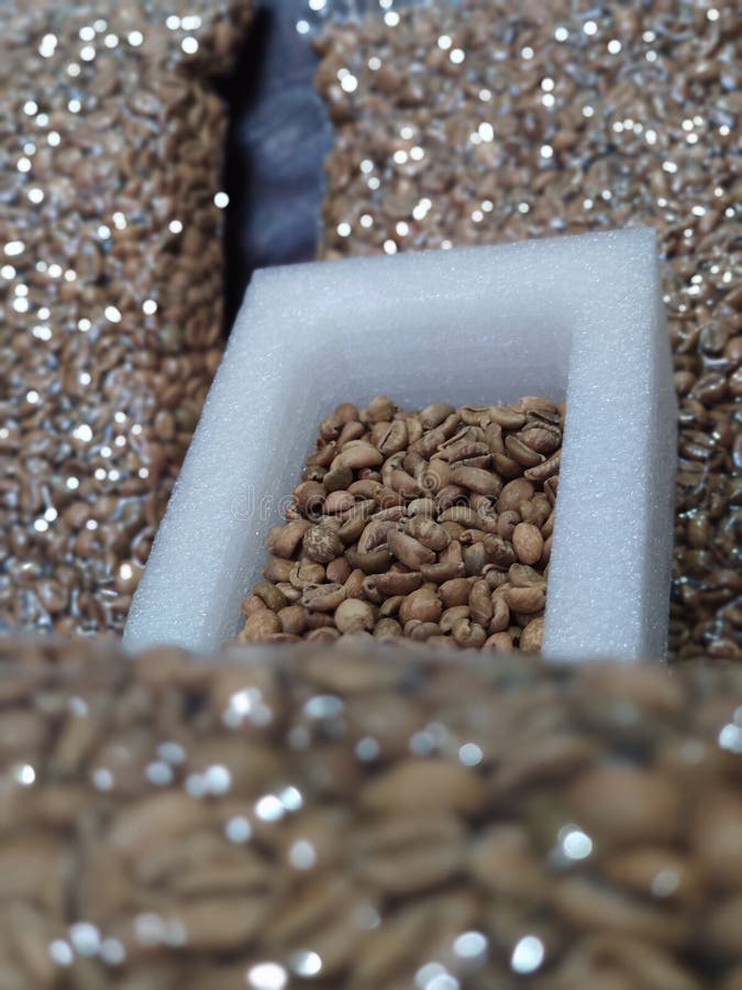 Exelsa Stock Photos - Free & Royalty-Free Stock Photos from Dreamstime